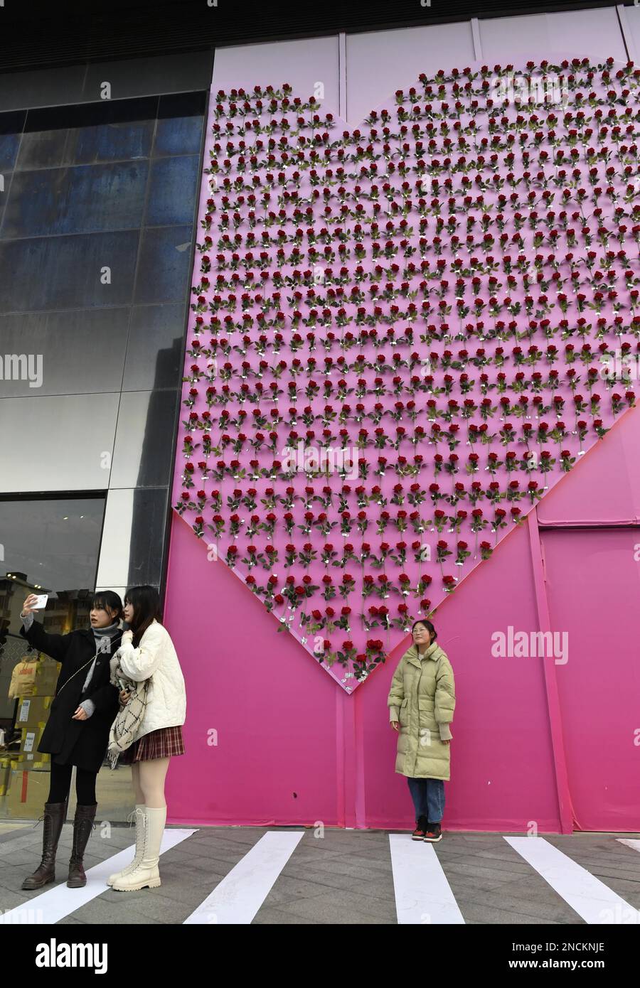 A rose wall outside a shopping mall attracts many people to take photos ...