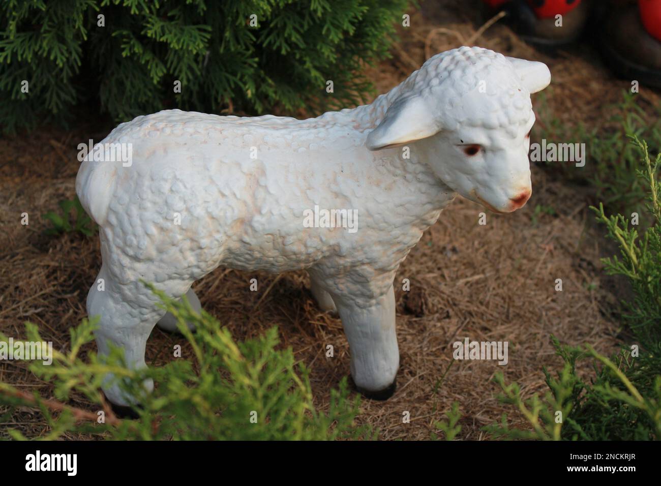 Figurine of a ceramic sheep in the garden among the plants viewed from ...