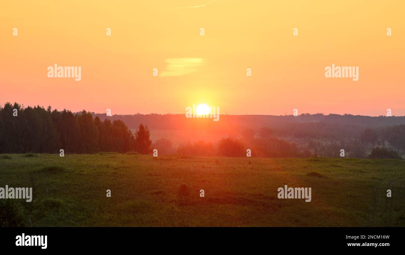 Bright yellow disk of the sun sits at the horizon of the forest and the ...