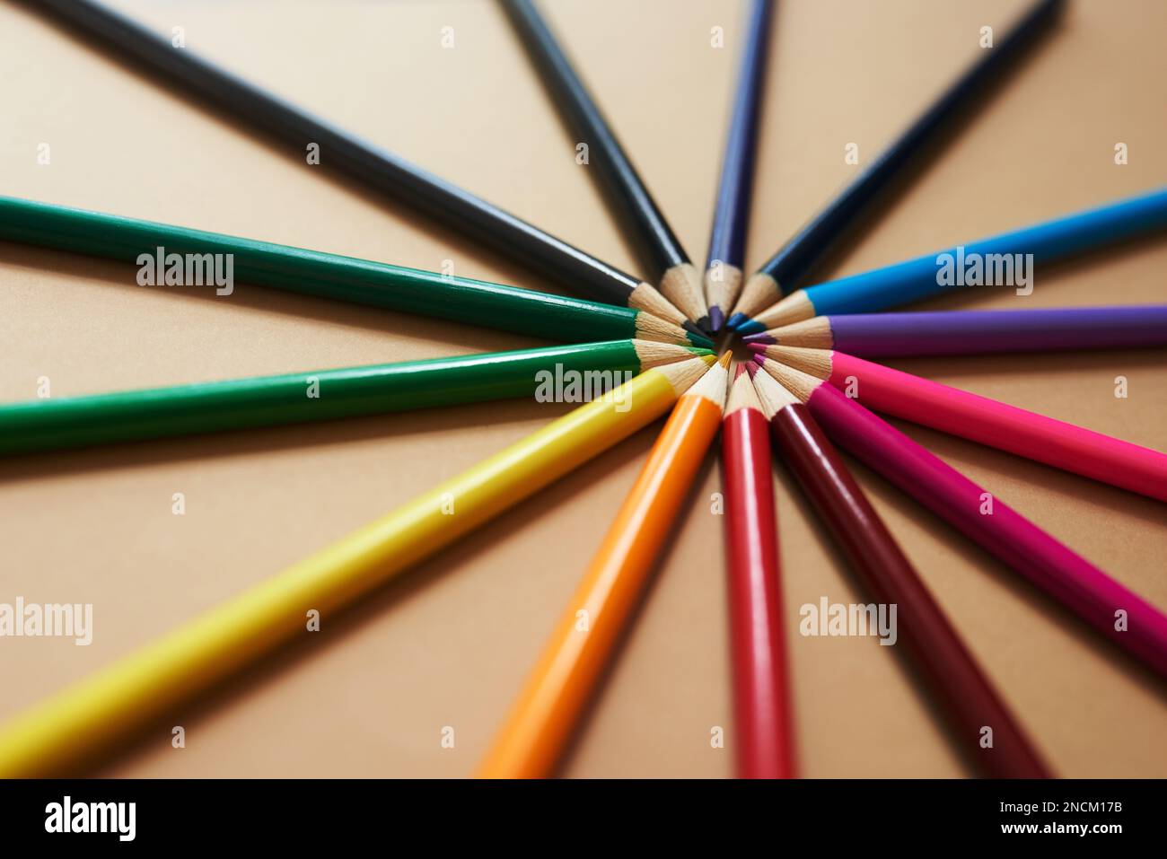 Every colour completes the picture. Studio shot of different coloured ...