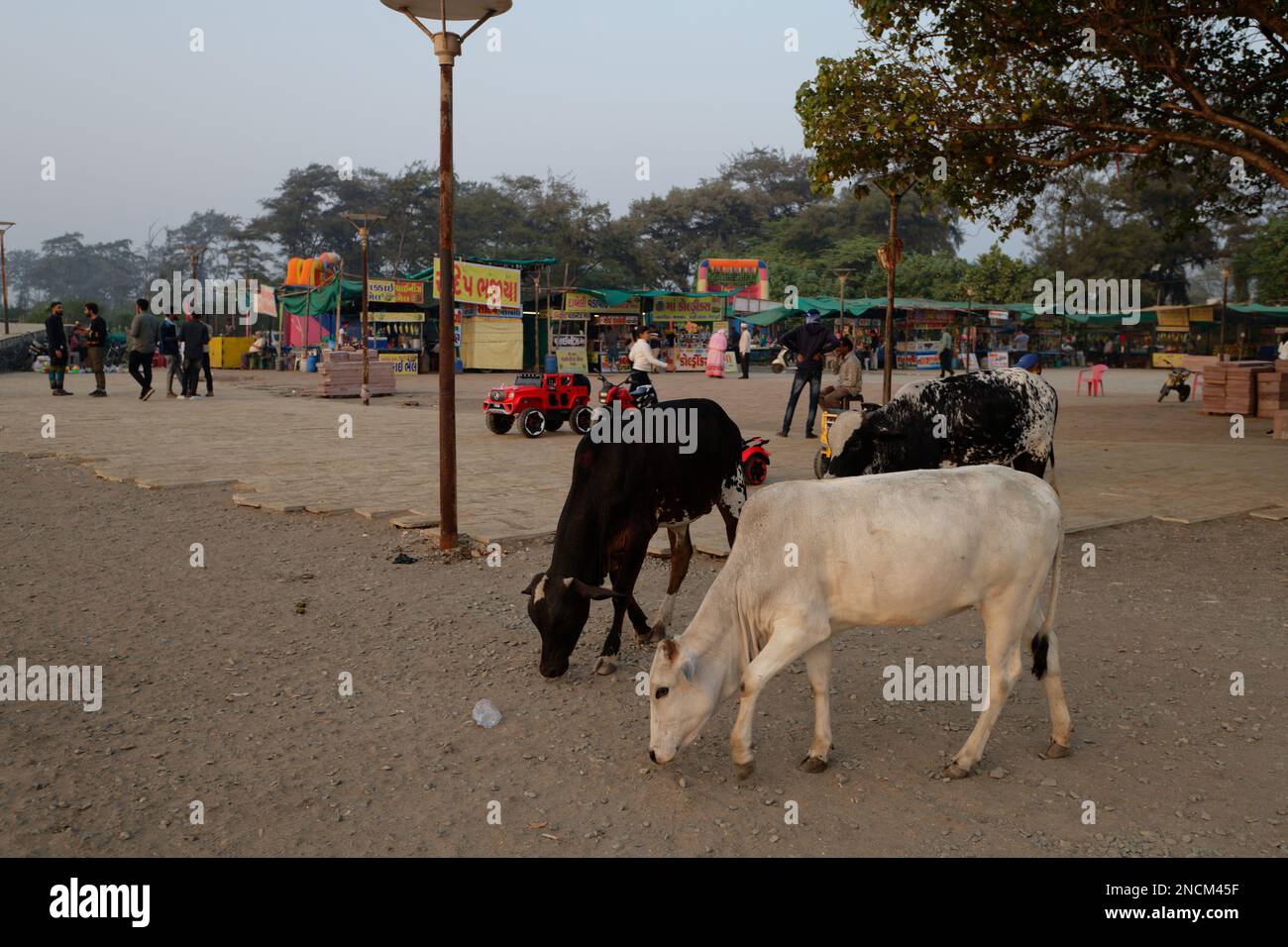Tithal beach hi-res stock photography and images - Alamy