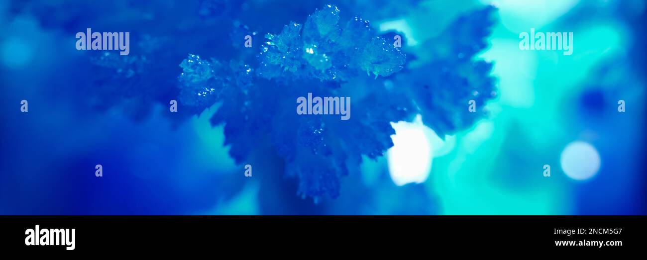 Frozen ice patterns in winter cold freezing Stock Photo - Alamy