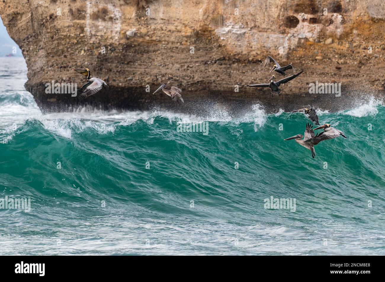 Flying over ocean surf hi-res stock photography and images - Alamy