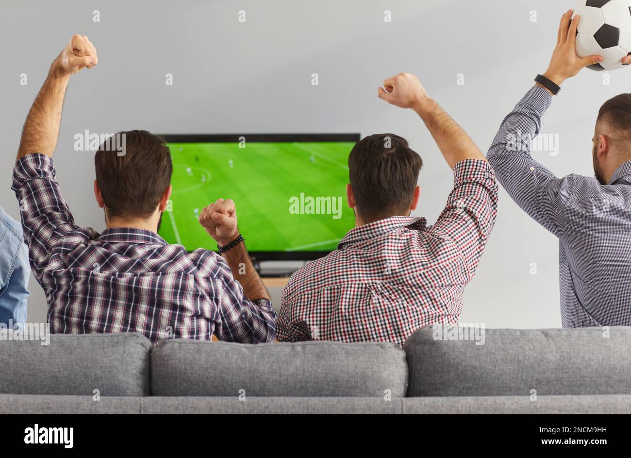 Back view of young men sitting on sofa at home and watching soccer ...