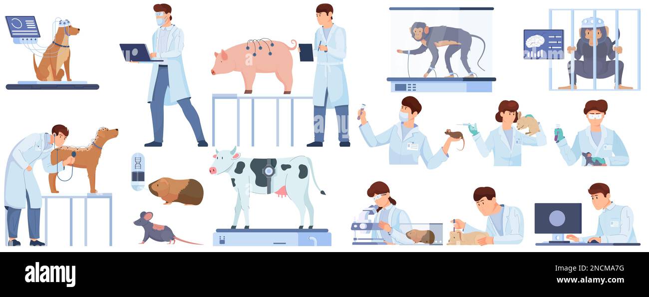 Laboratory experiments on animal flat set of scientists testing drugs ...