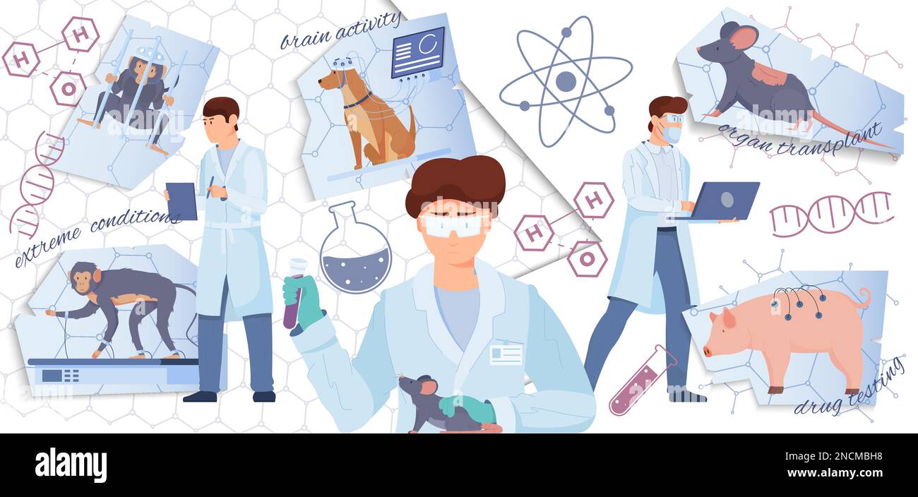 Laboratory experiments on animal flat collage with extreme conditions ...