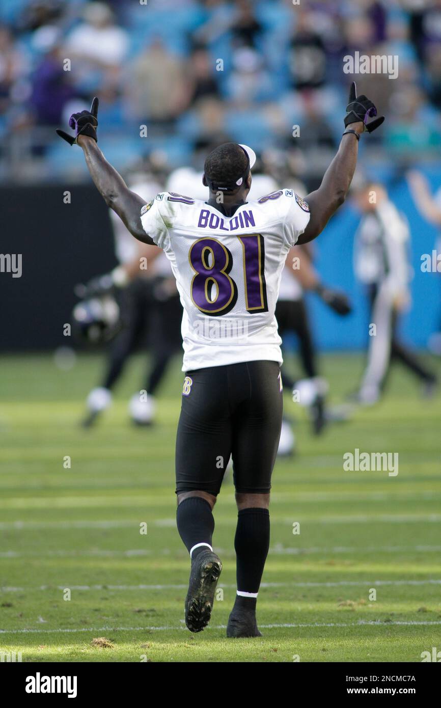 Baltimore Ravens' Anquan Boldin (81) celebrates a touchdown by the ...