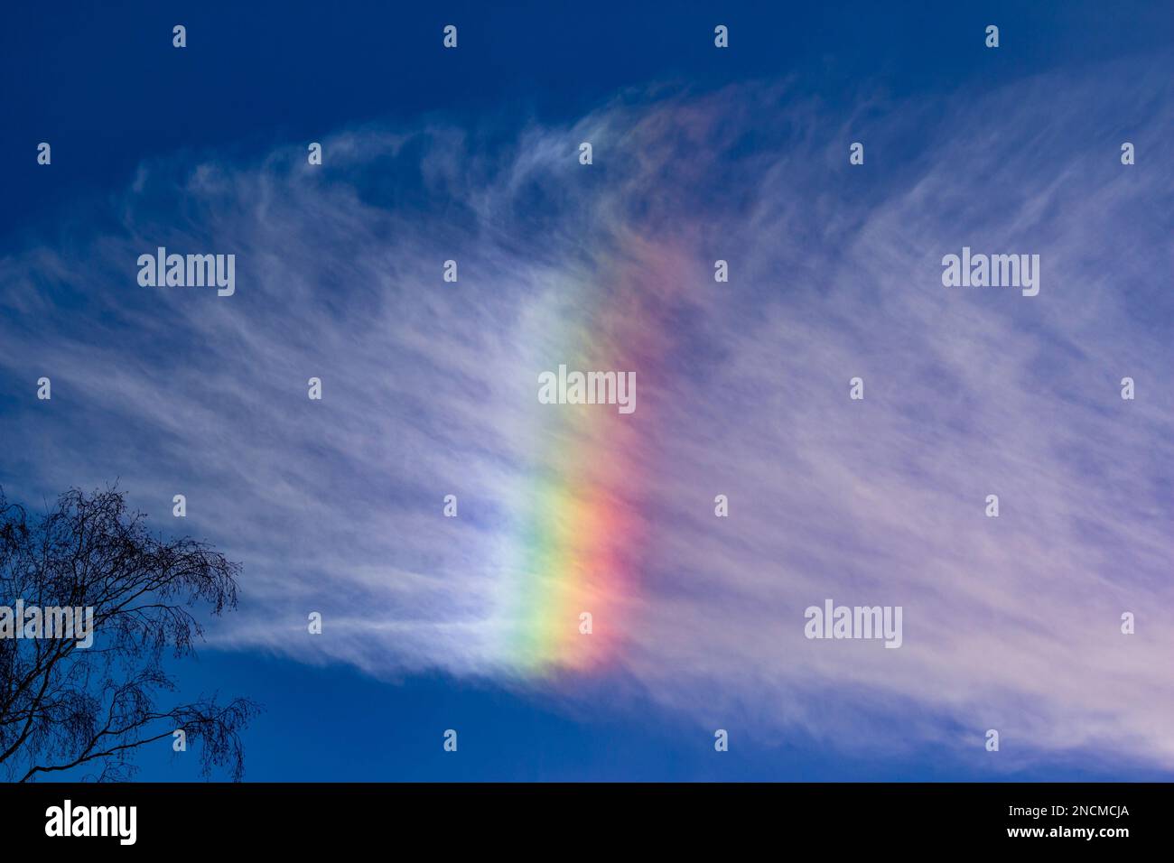 A rainbow cloud against a blue sky, a rare optical phenomenon in the ...