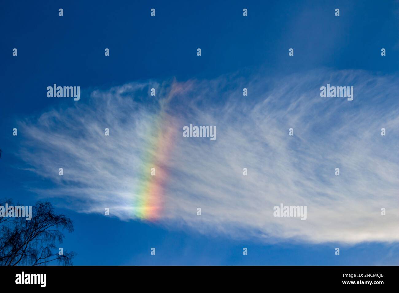 A rainbow cloud against a blue sky, a rare optical phenomenon in the ...