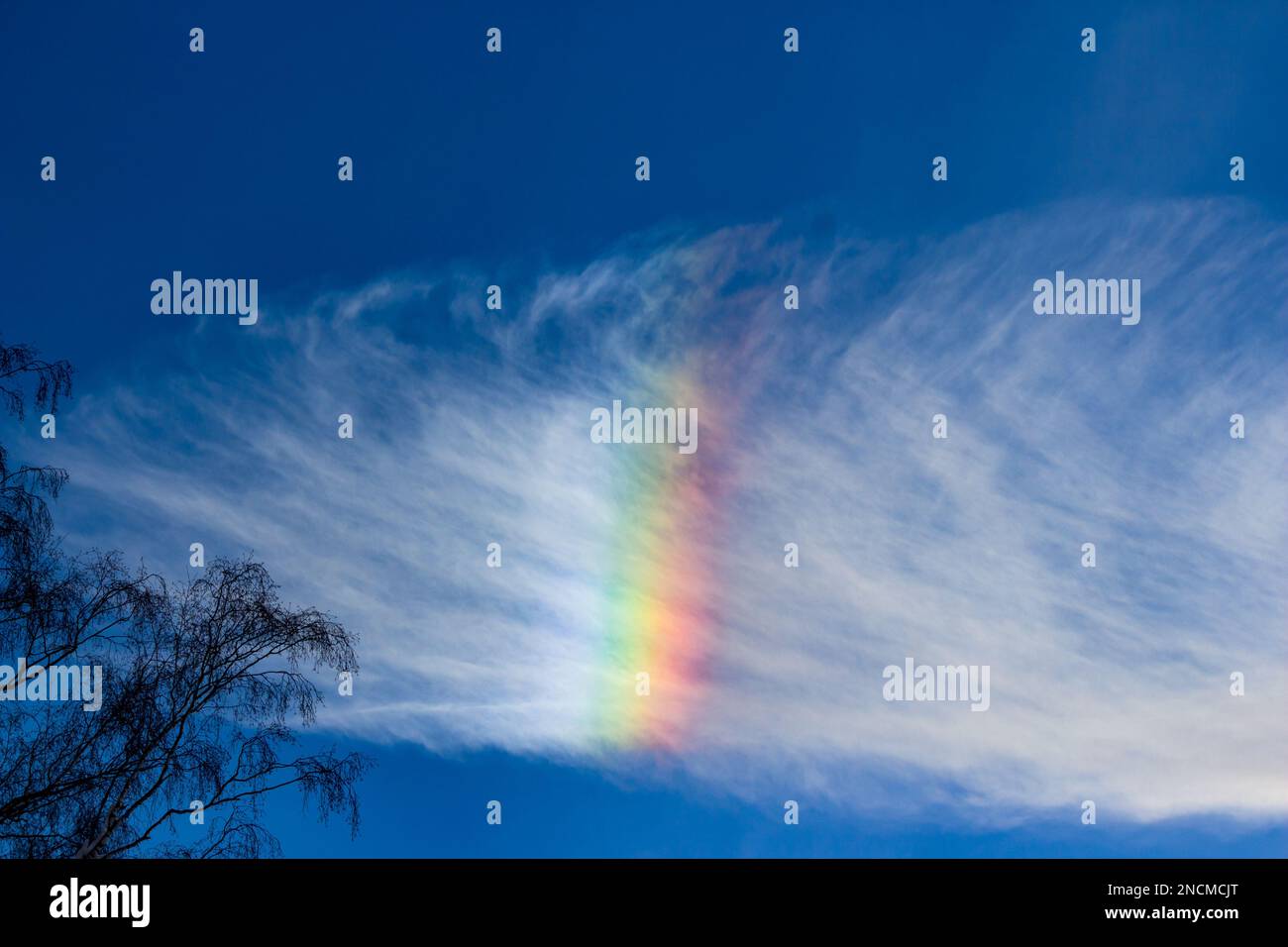 A rainbow cloud against a blue sky, a rare optical phenomenon in the ...
