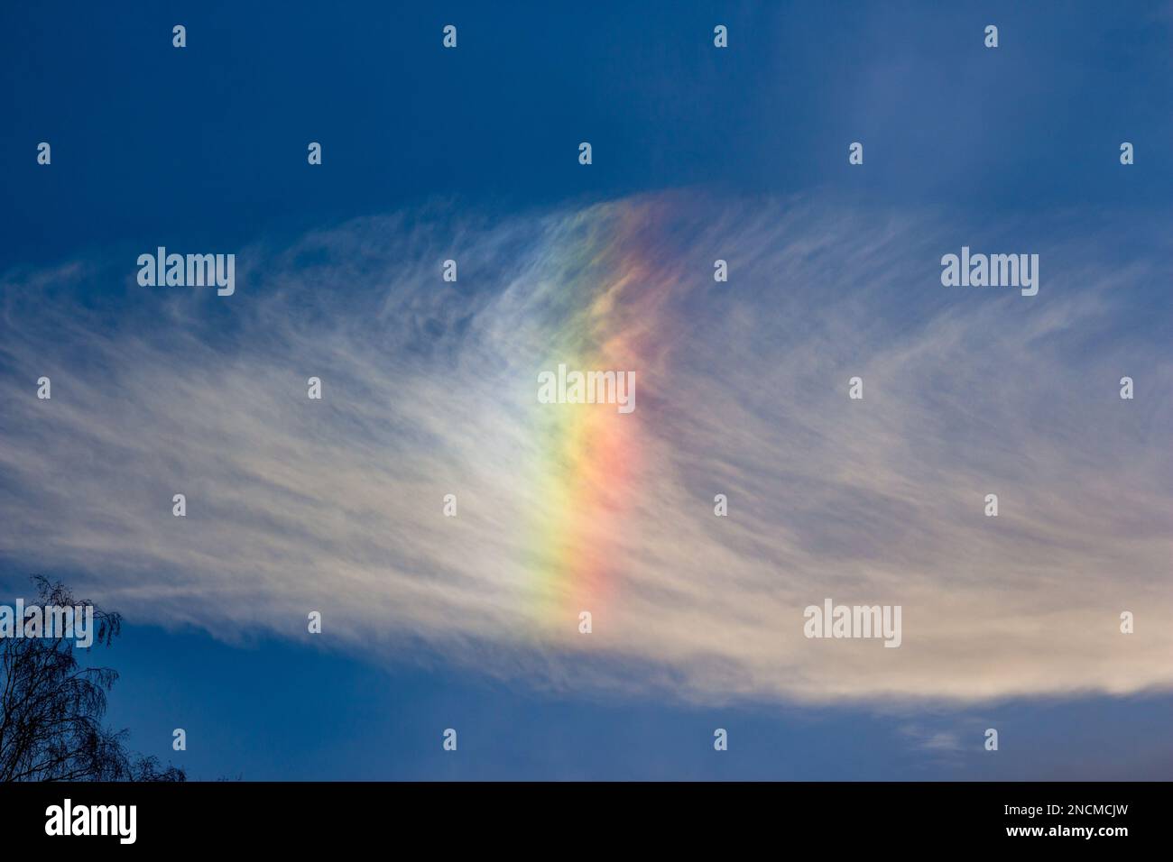 A rainbow cloud against a blue sky, a rare optical phenomenon in the ...