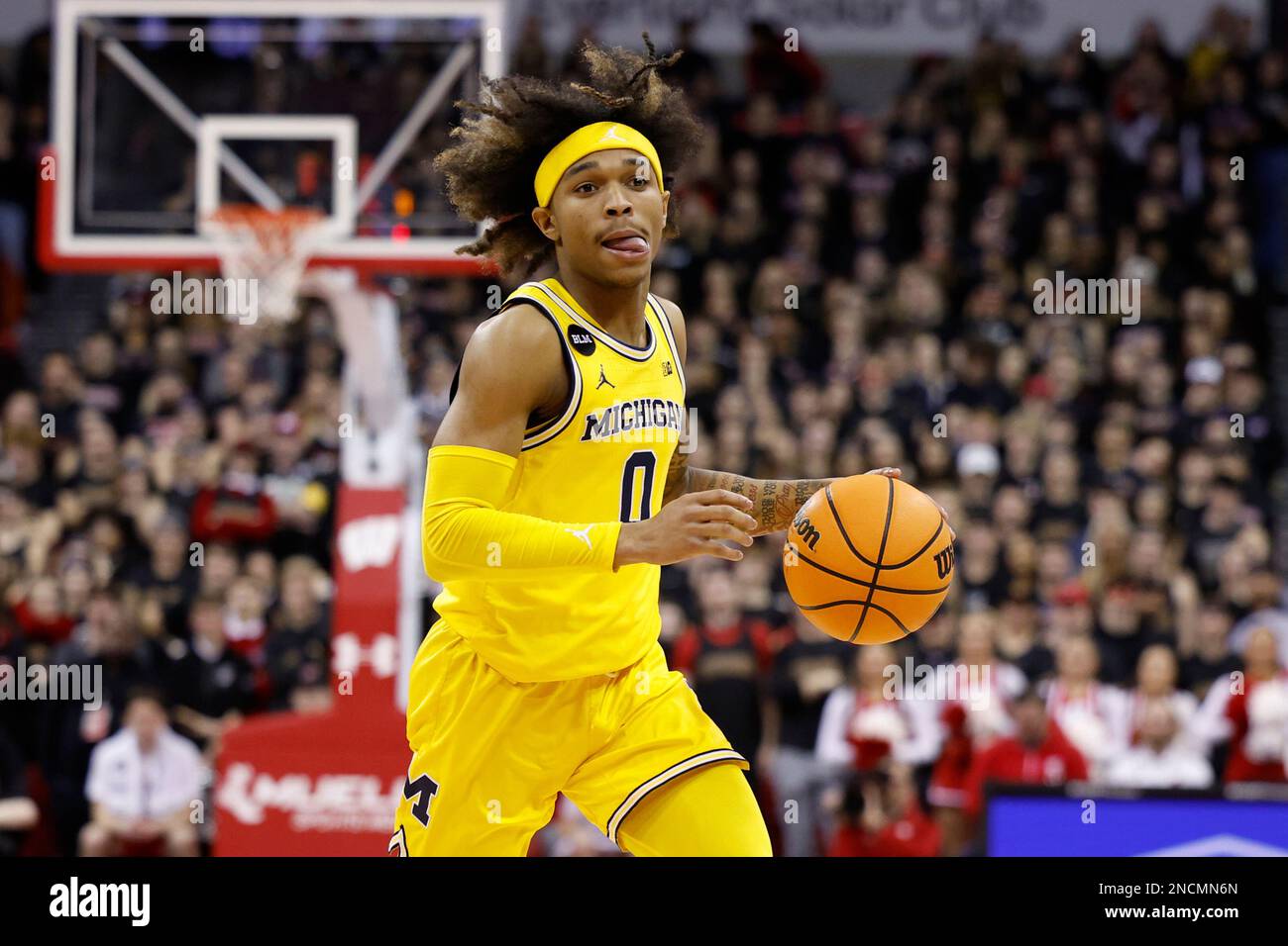 20230214 hi-res stock photography and images - Alamy