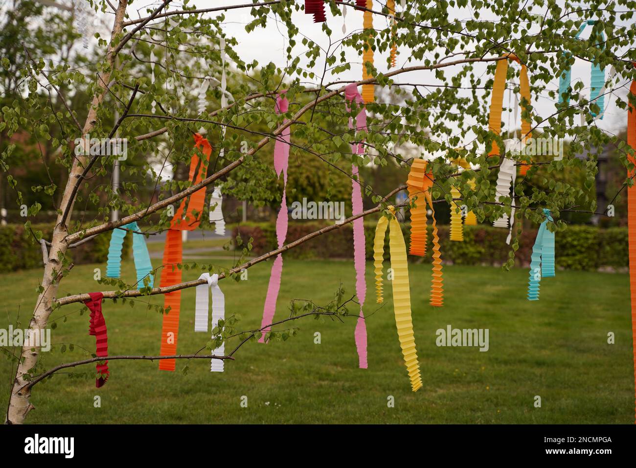 Many colored ribbon hi-res stock photography and images - Alamy