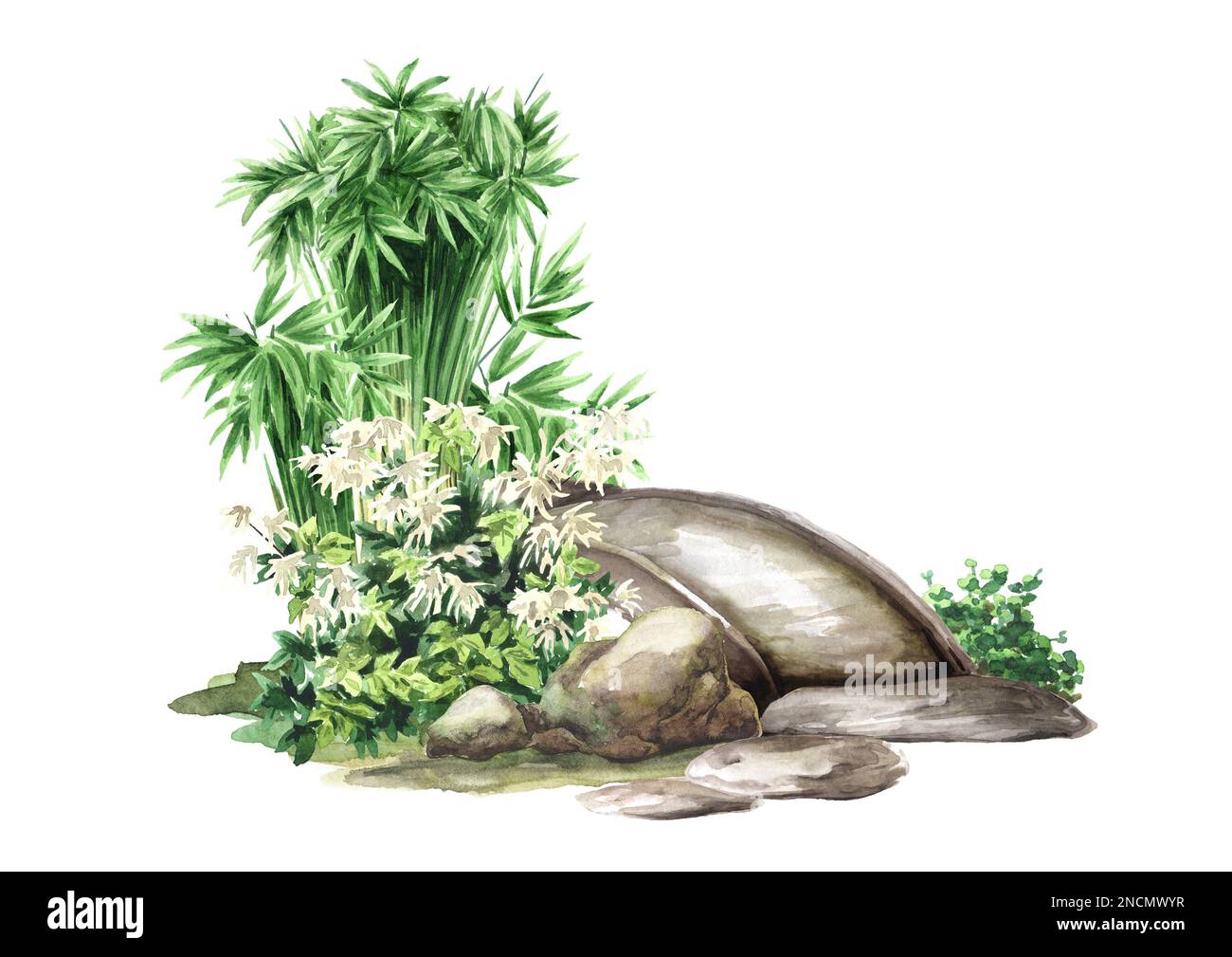 Garden walking path, small bridge, Landscape design. Hand drawn ...