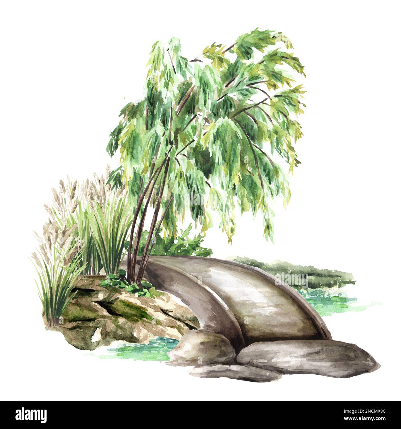 Garden walking path, small bridge, Landscape design. Hand drawn ...