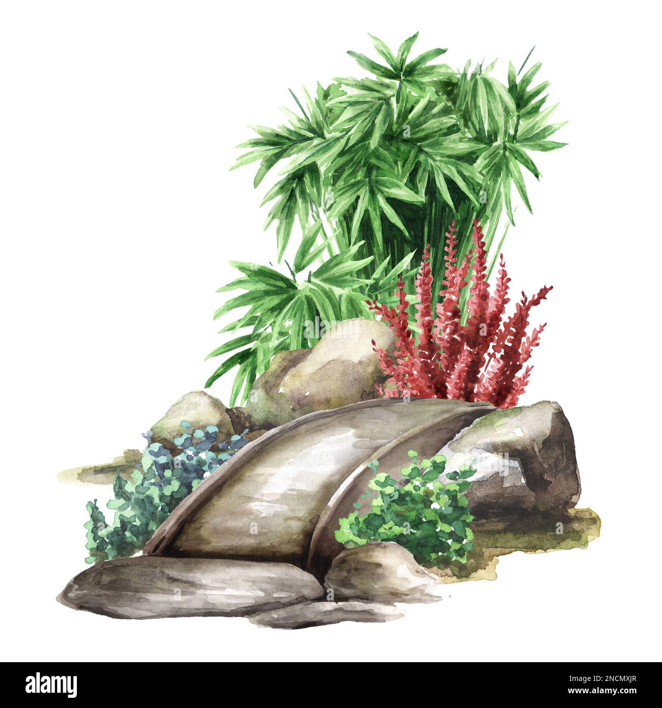 Garden walking path, small bridge, Landscape design. Hand drawn ...