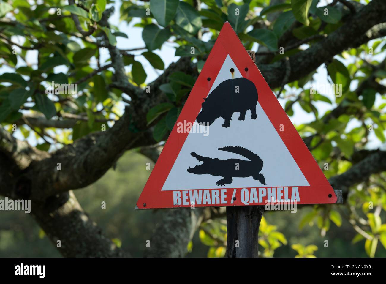 Animal attack danger sign, hippopotamus, crocodile, warning signage ...