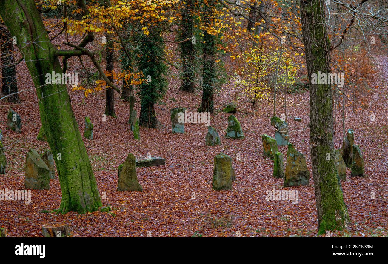 An aerial view of duffryn woods in forest Stock Photo - Alamy