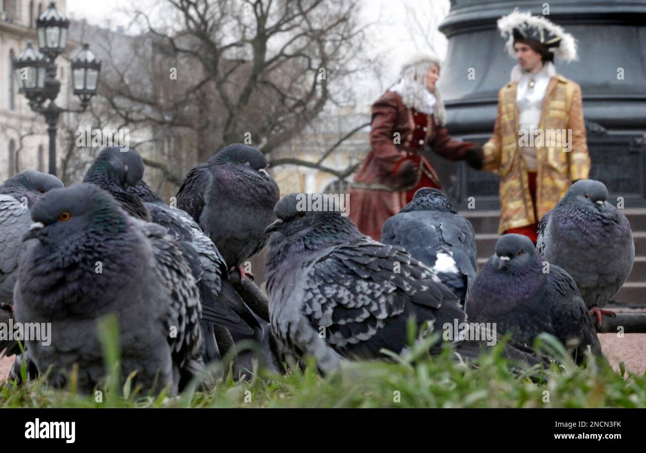Street actors dressed in 18th century suits walk as pigeons rest in a ...