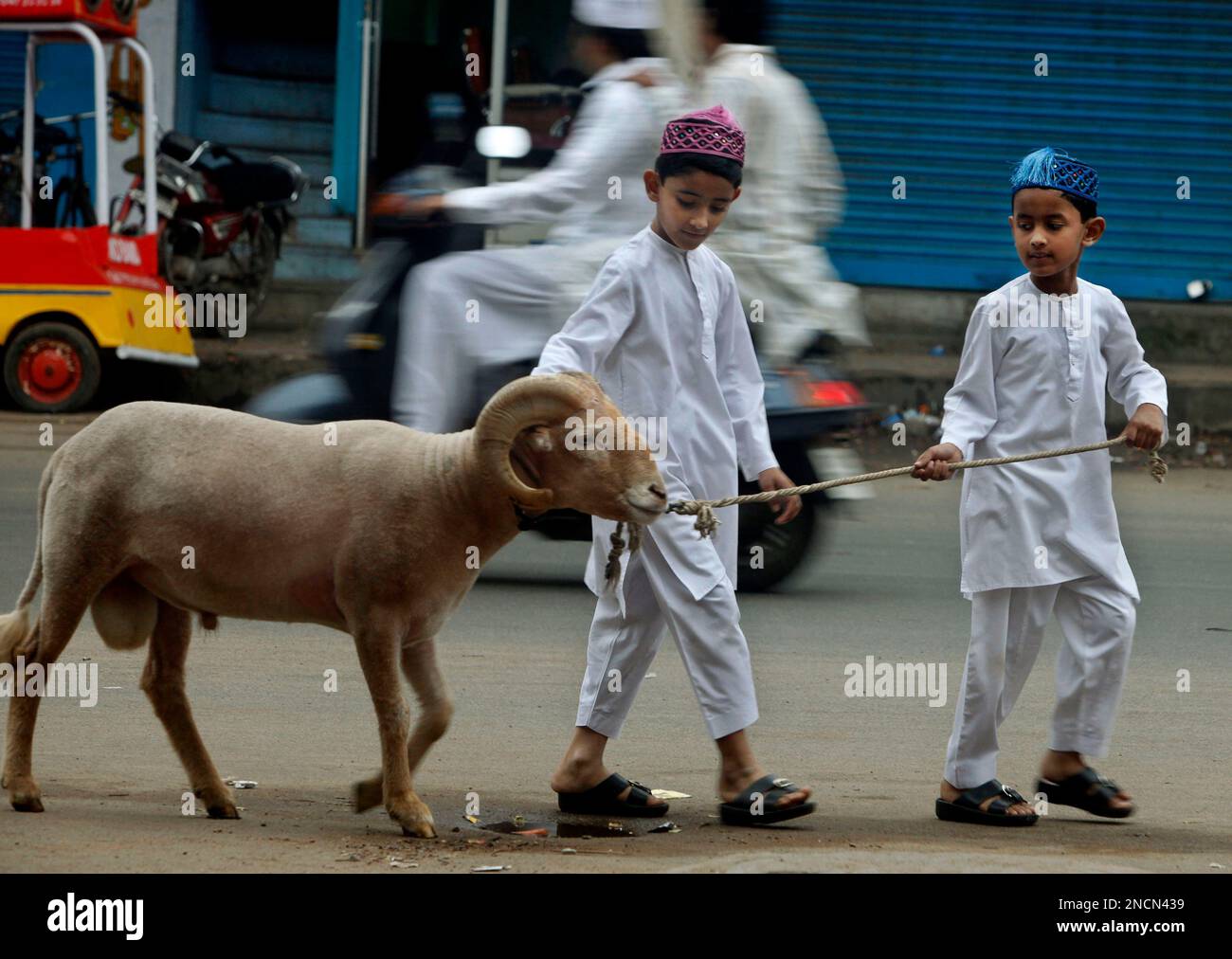 Indian Muslim boys take a goat for sacrifice after offering prayers on ...