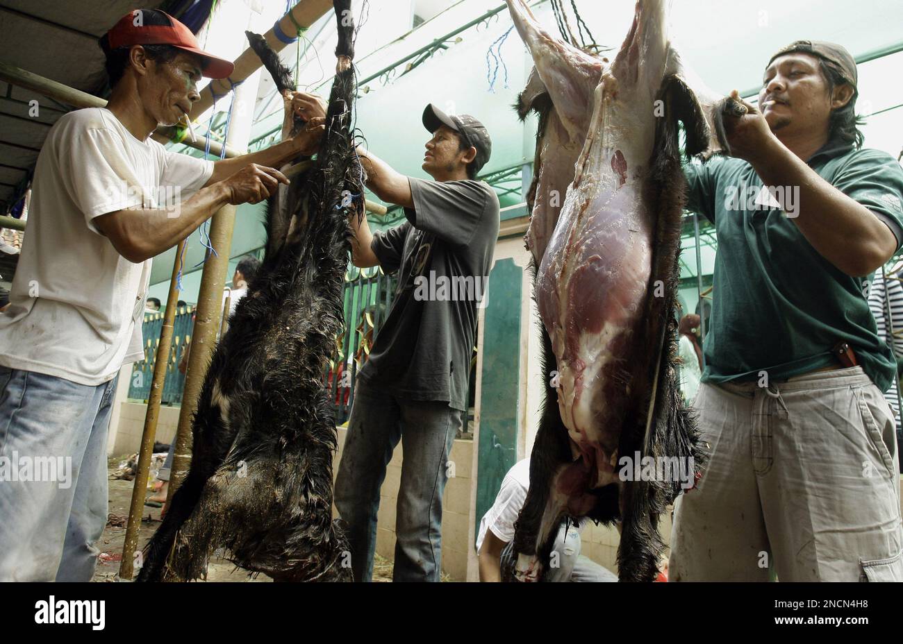 Indonesian Muslims slaughter goats in Jakarta, Indonesia, Wednesday ...