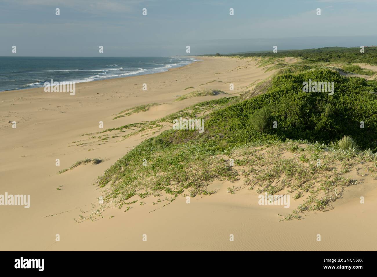 Beautiful beaches, coastal landscape, Muntanzini, KwaZulu-Natal, South ...