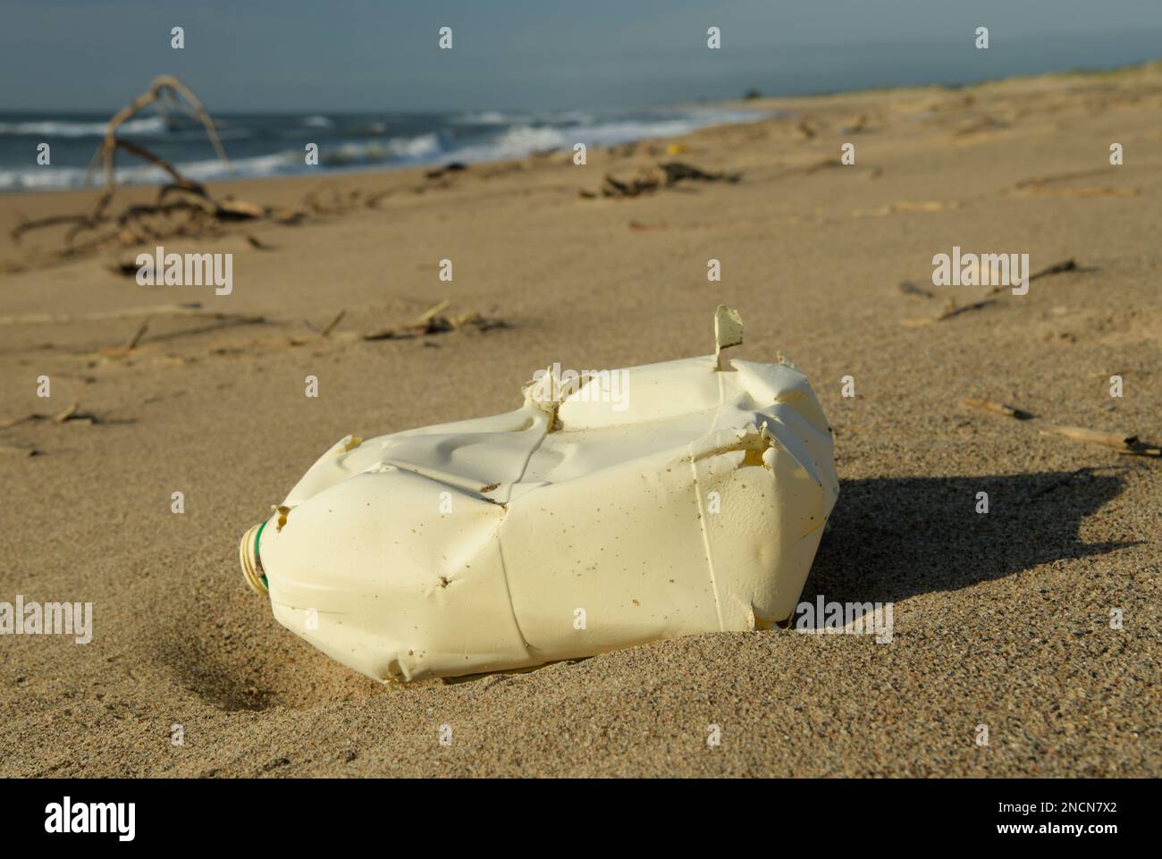 Single use plastic container washed up on beach, packaging pollution of ...