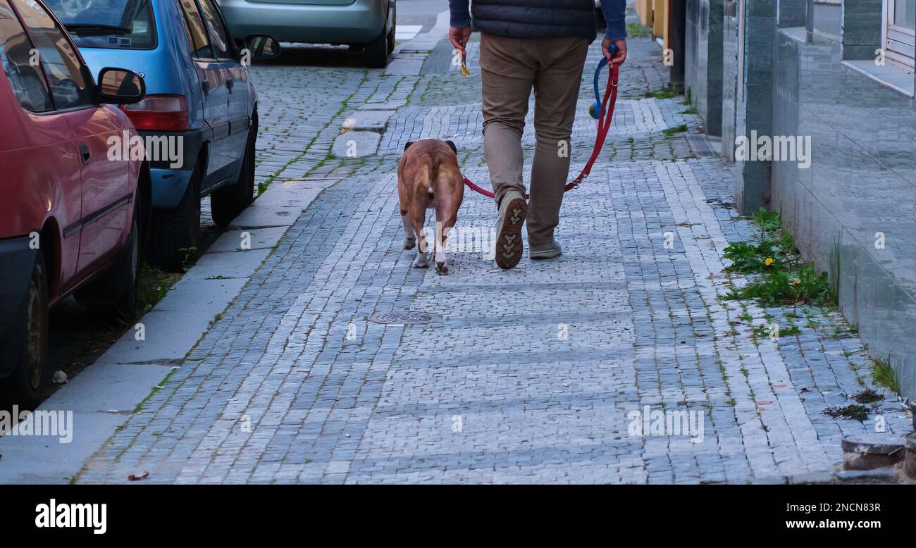 Back view of man walking along sidewalk pavement in the city Stock ...