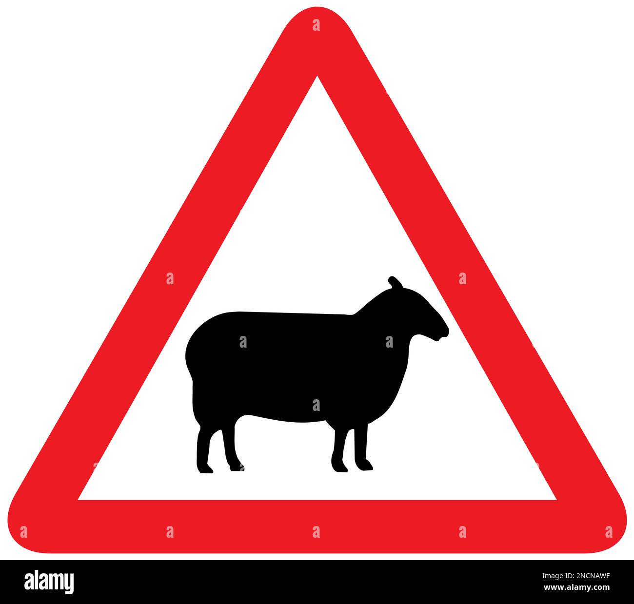 Sheep likely to be In road ahead British road sign Stock Photo - Alamy