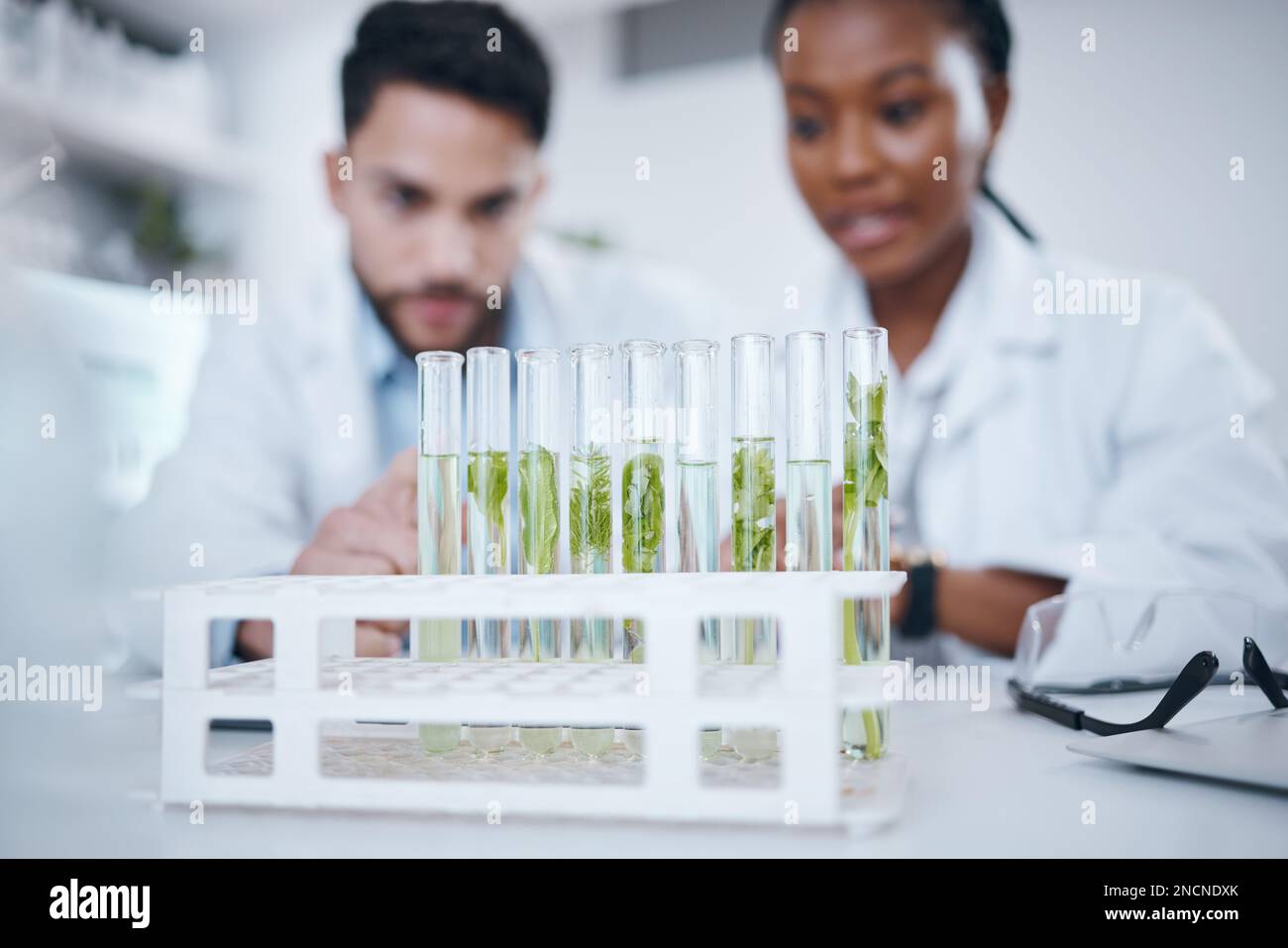 Plant samples, science test tubes and lab workers in a agriculture ...