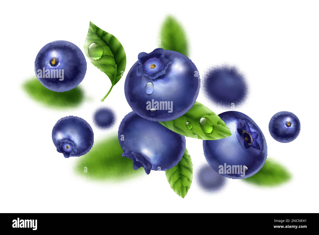 Flying blueberries with leaves and water drops composition with blurred ...