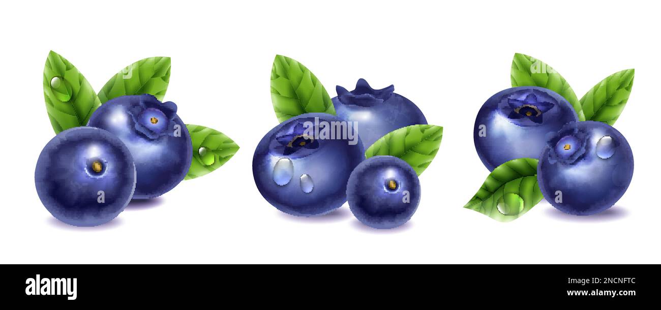 Fresh blueberry with water drops and green leaves realistic ...