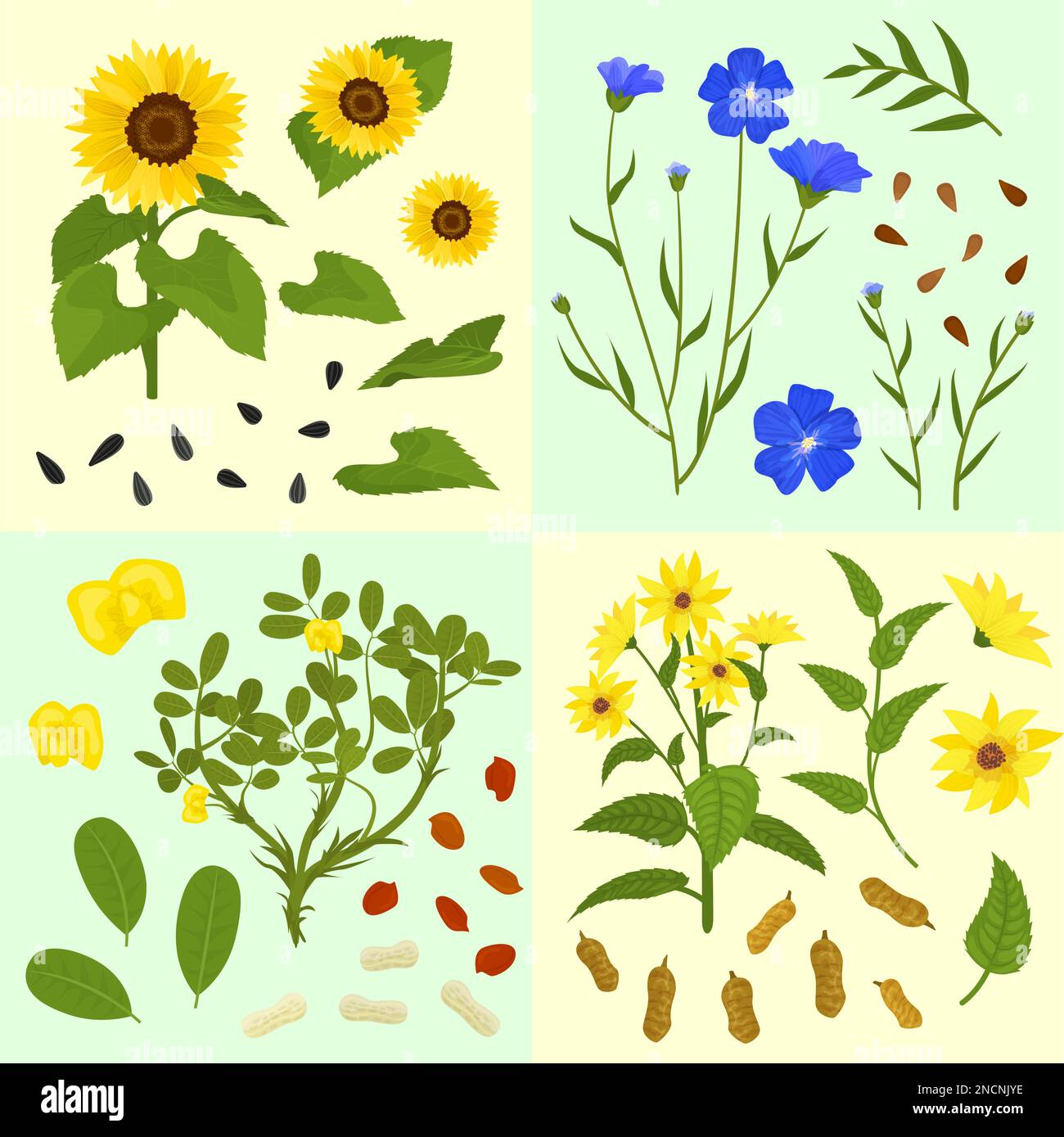 Technical flowers plants flat 2x2 set of square compositions with ...