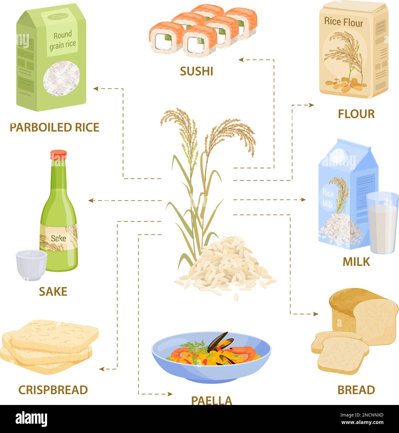Rice products flat infographic composition with flowchart of product ...