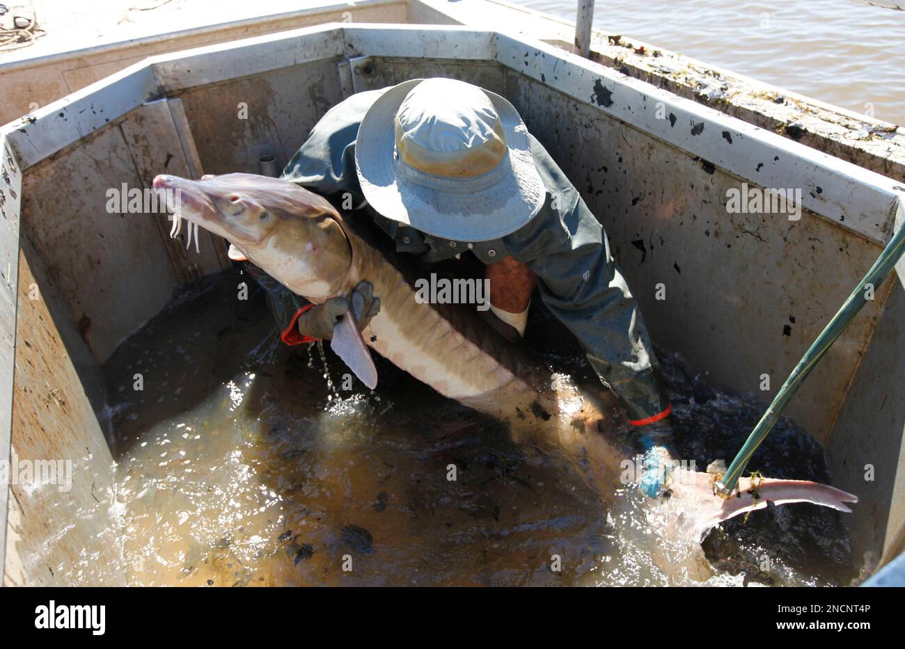 In this Oct. 8, 2010 photo, Virginia Commonwealth University graduate ...