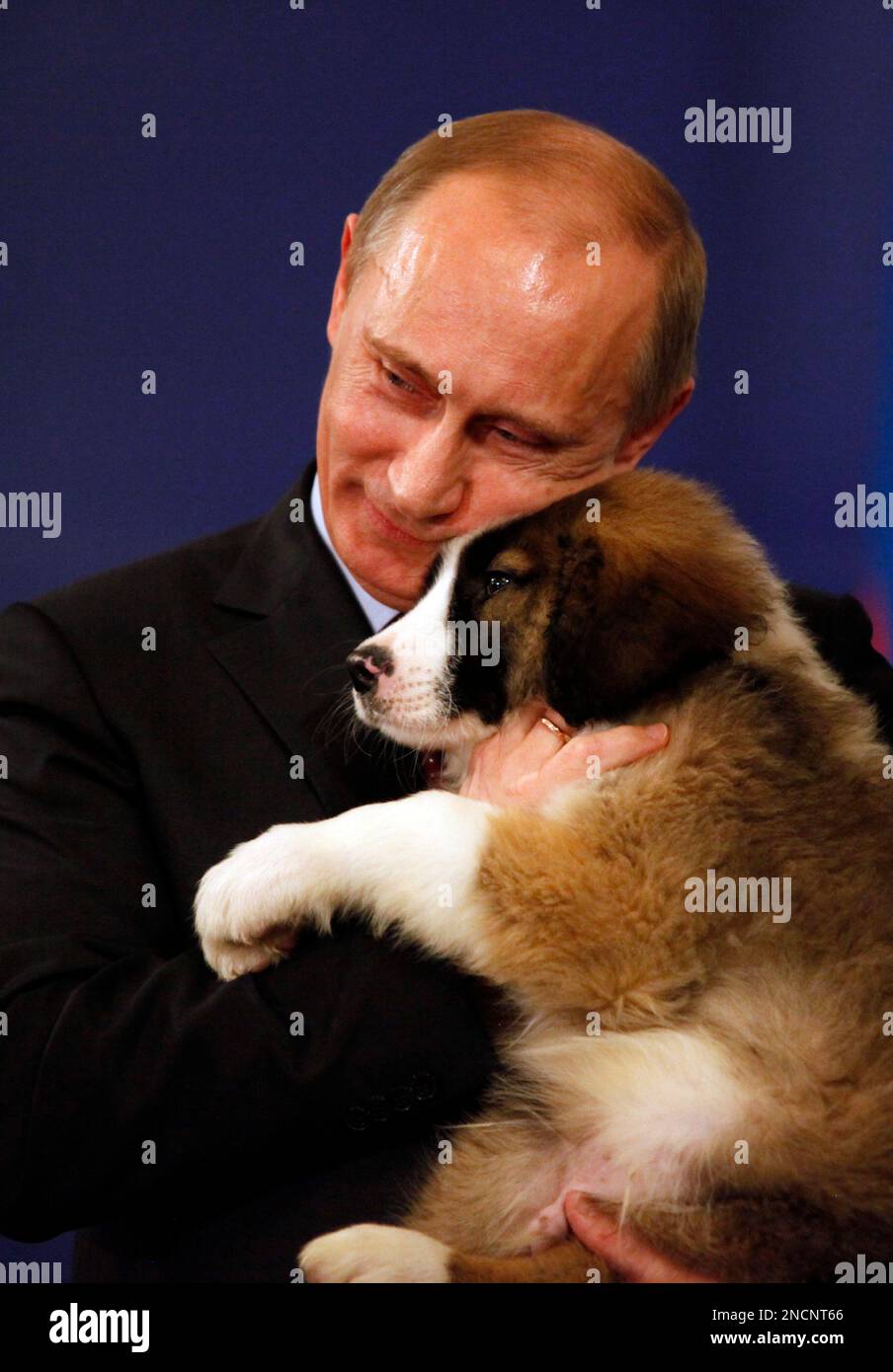 Russian Prime Minister Vladimir Putin cuddles a Bulgarian "Karakachanka ...