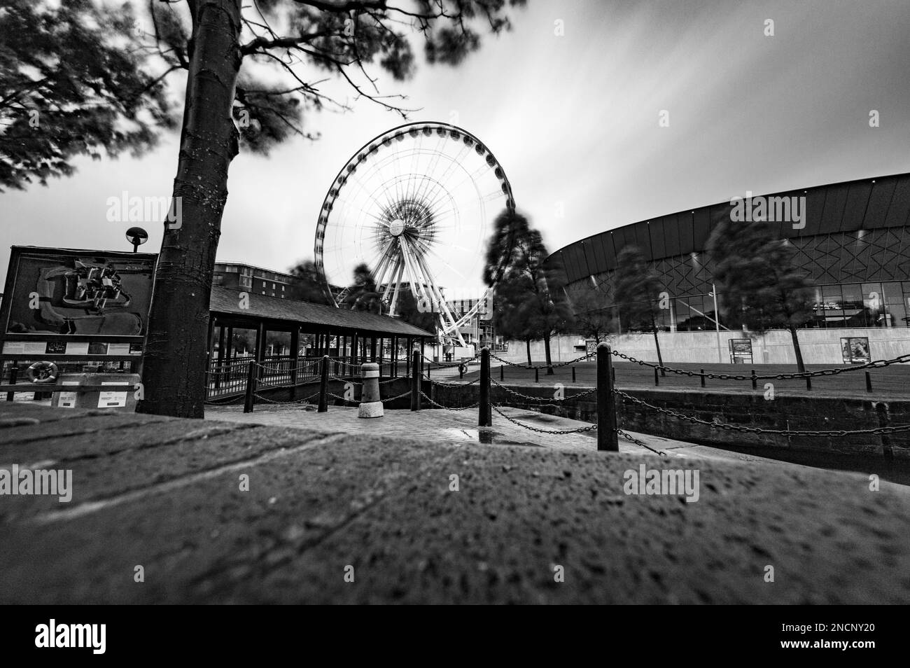 A grayscale of the Liverpool Eye at Royal Albert Dock, Liverpool ...