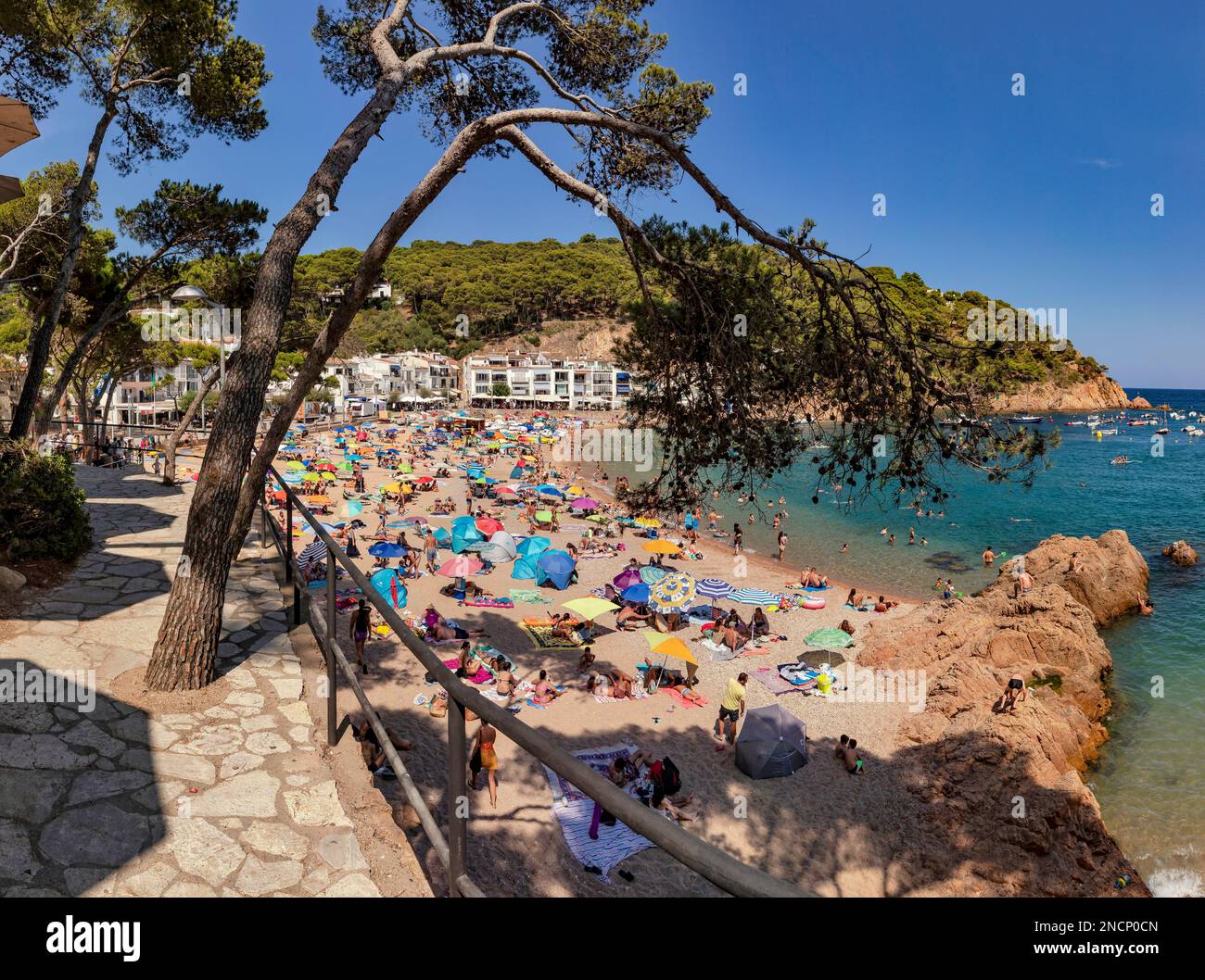packed beach Platja de Tamariu Stock Photo - Alamy