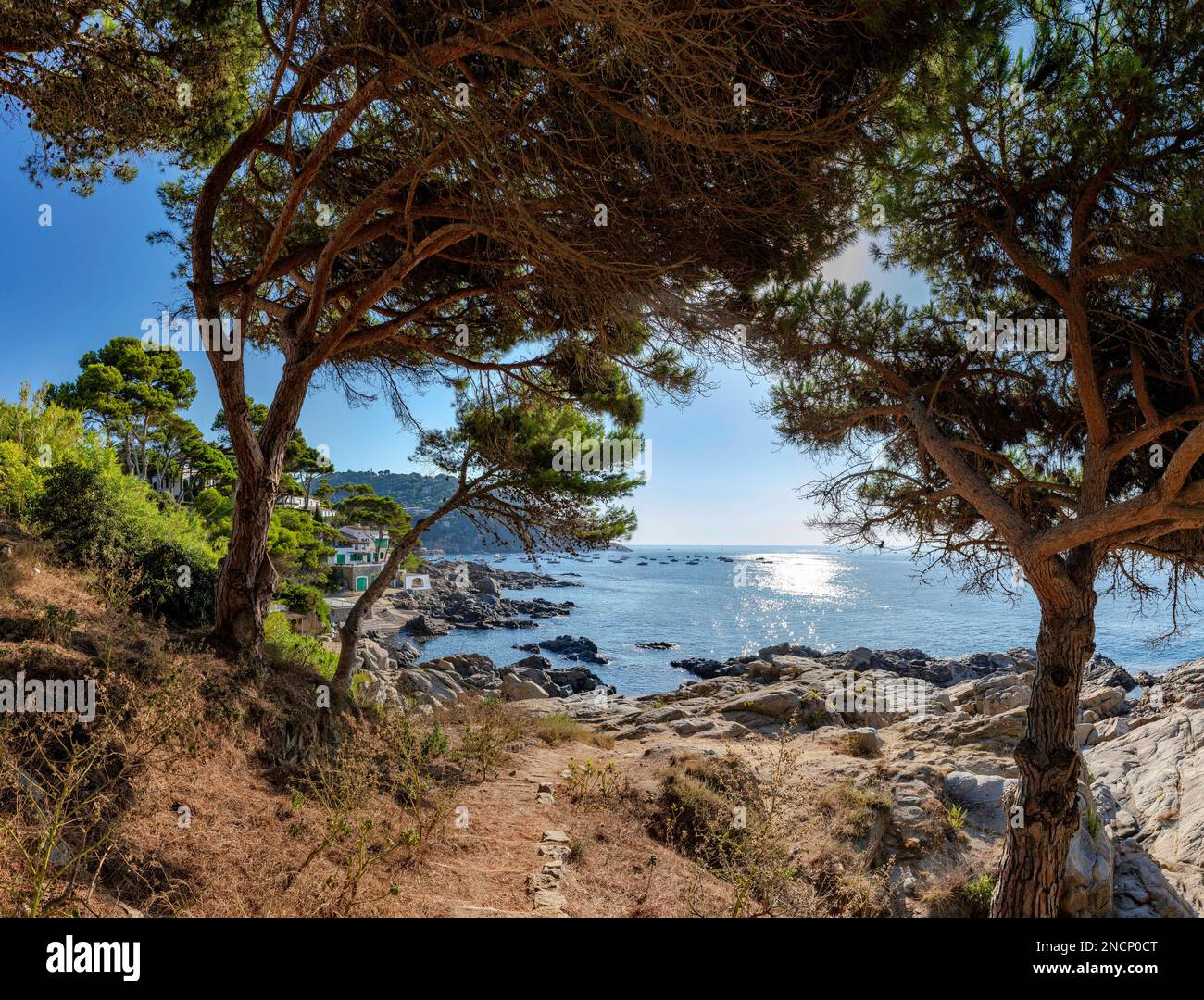 Camì de Ronda de Calella a Llafranc Stock Photo - Alamy