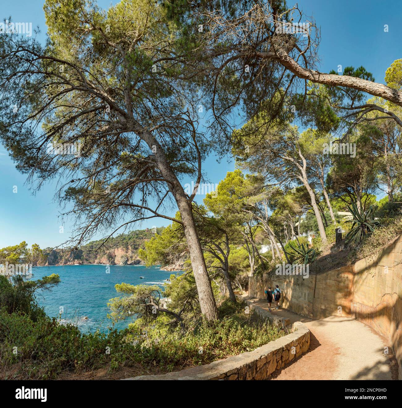 Camì de Ronda, coastal walkway Stock Photo - Alamy
