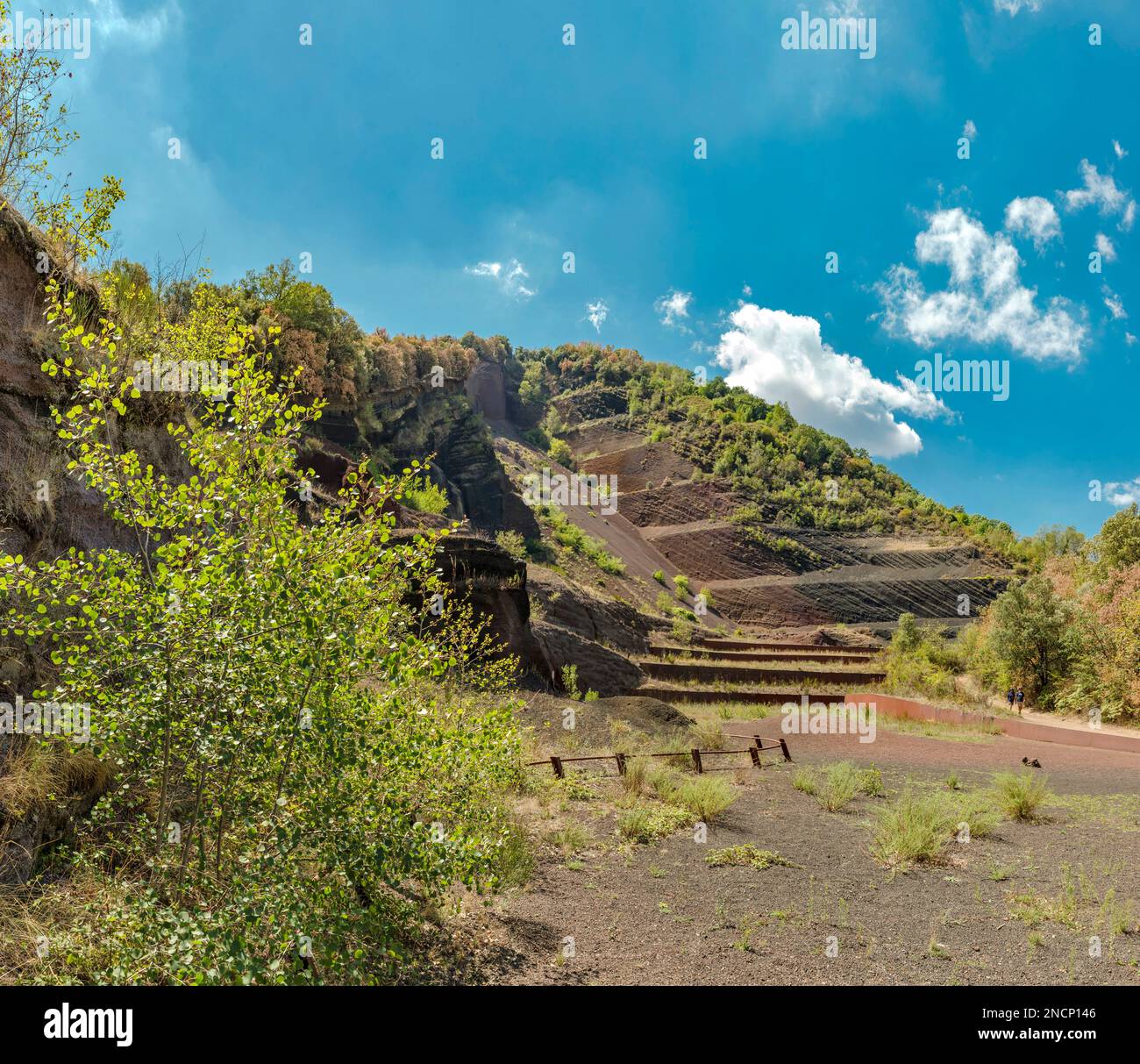 Volcano, Volcà del Croscat Stock Photo - Alamy