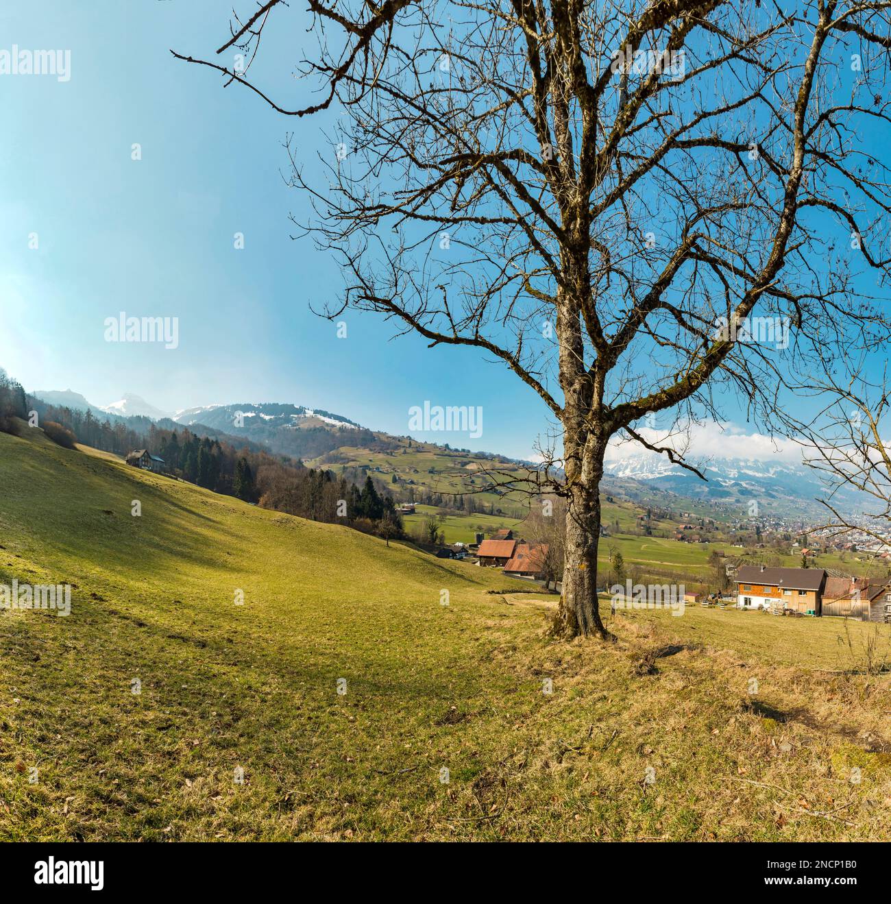 Low hills of the pre-Alps with farmhouses Stock Photo - Alamy