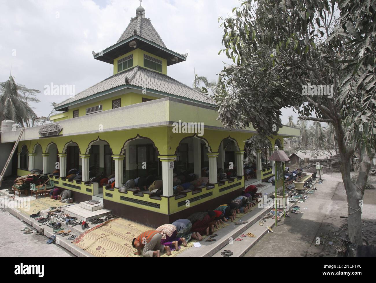 Indonesian Muslim pray at a mosque covered with volcanic ash from the ...