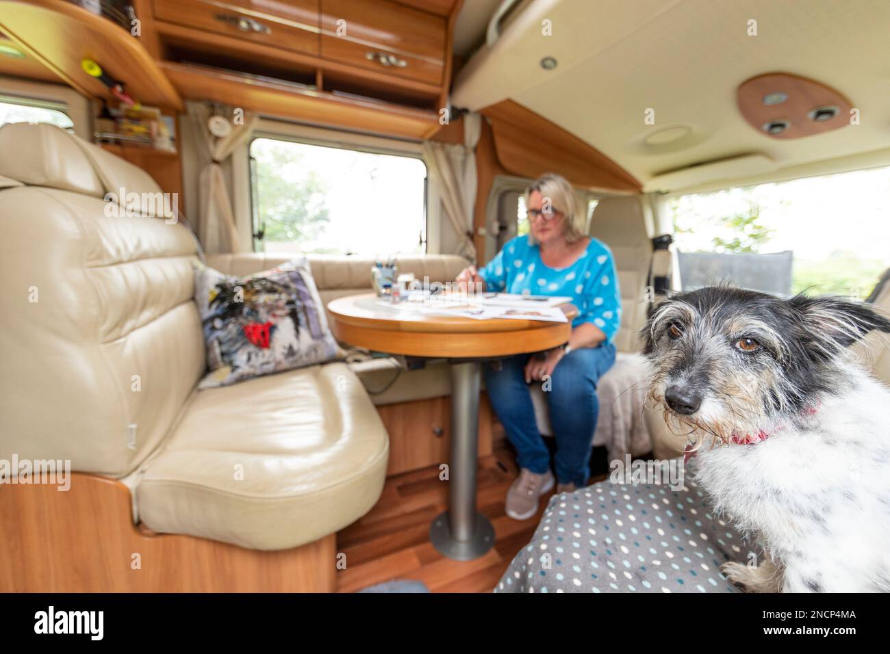 Jo scott art hi-res stock photography and images - Alamy