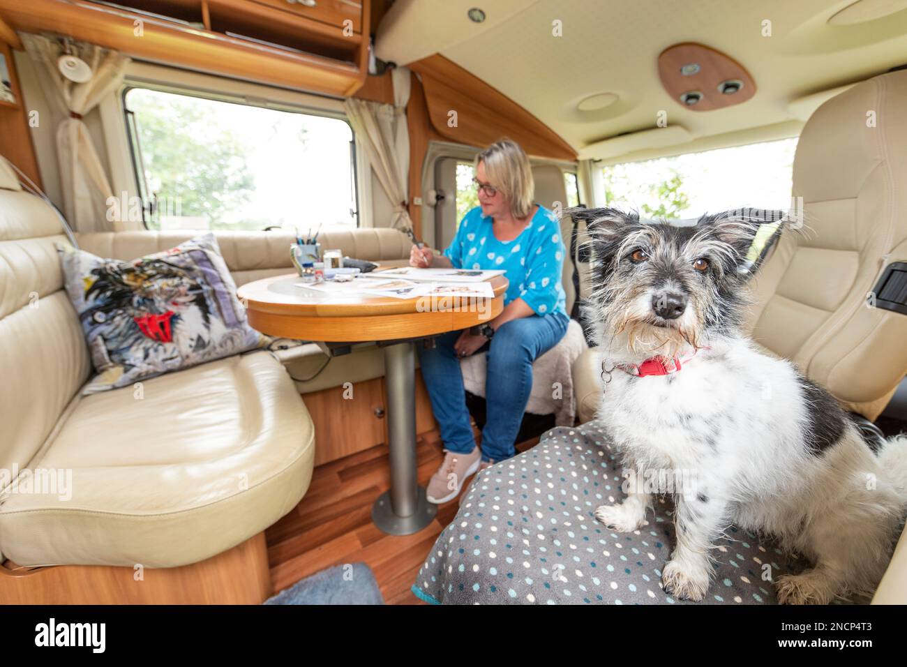 Renowned commercial artist Jo Scott abandons her studio to improve work ...