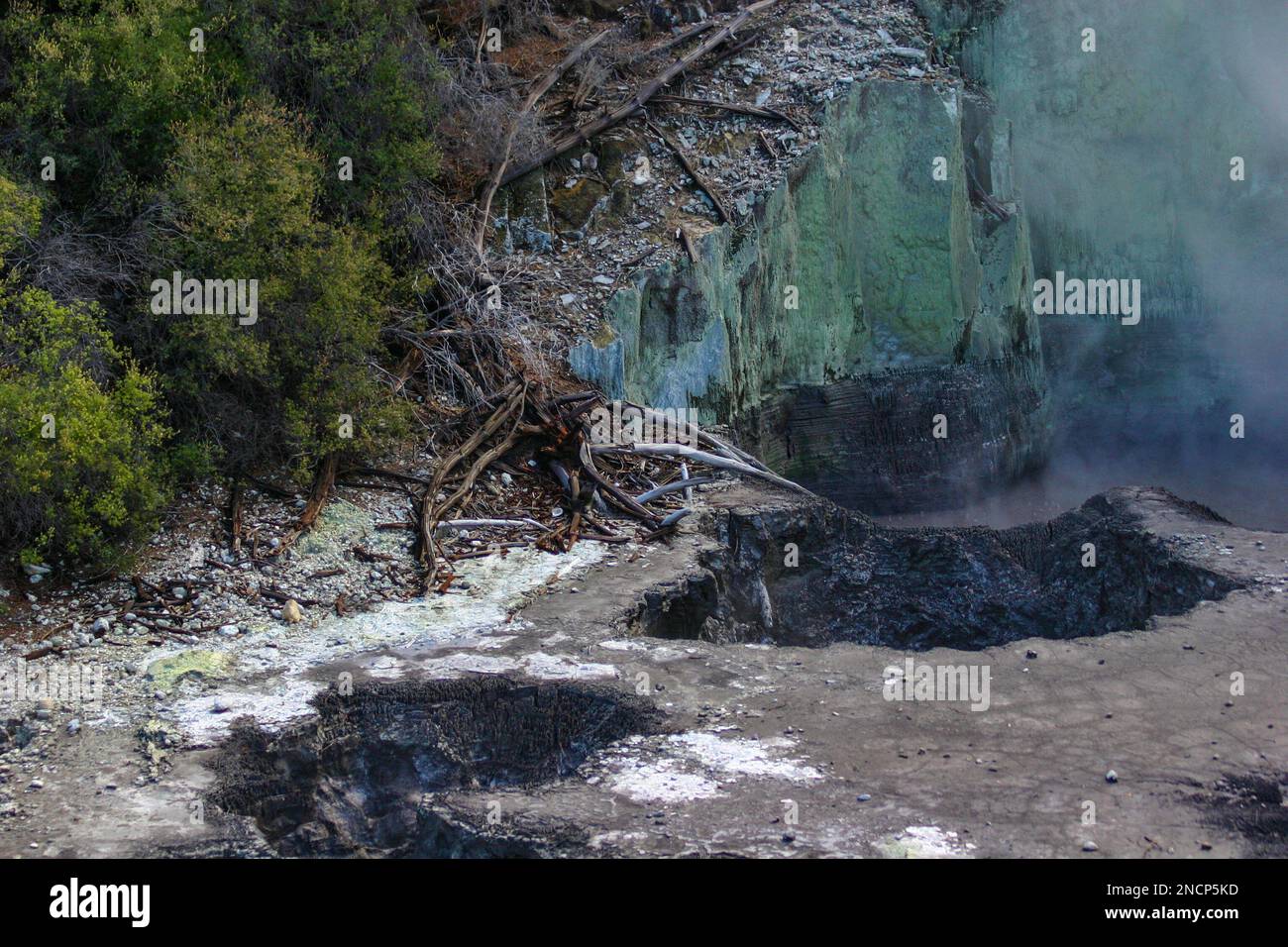 Taupo Volcanic Zone in New Zealand: Wai-O-Tapu Stock Photo - Alamy