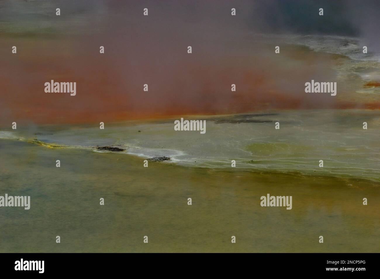 Taupo Volcanic Zone in New Zealand: Wai-O-Tapu Stock Photo - Alamy