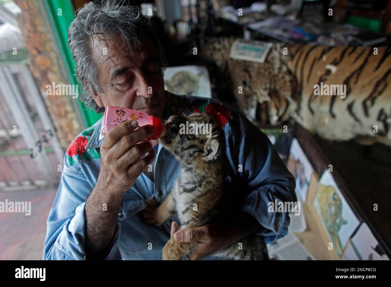 Tiger Man Tattoo Dies