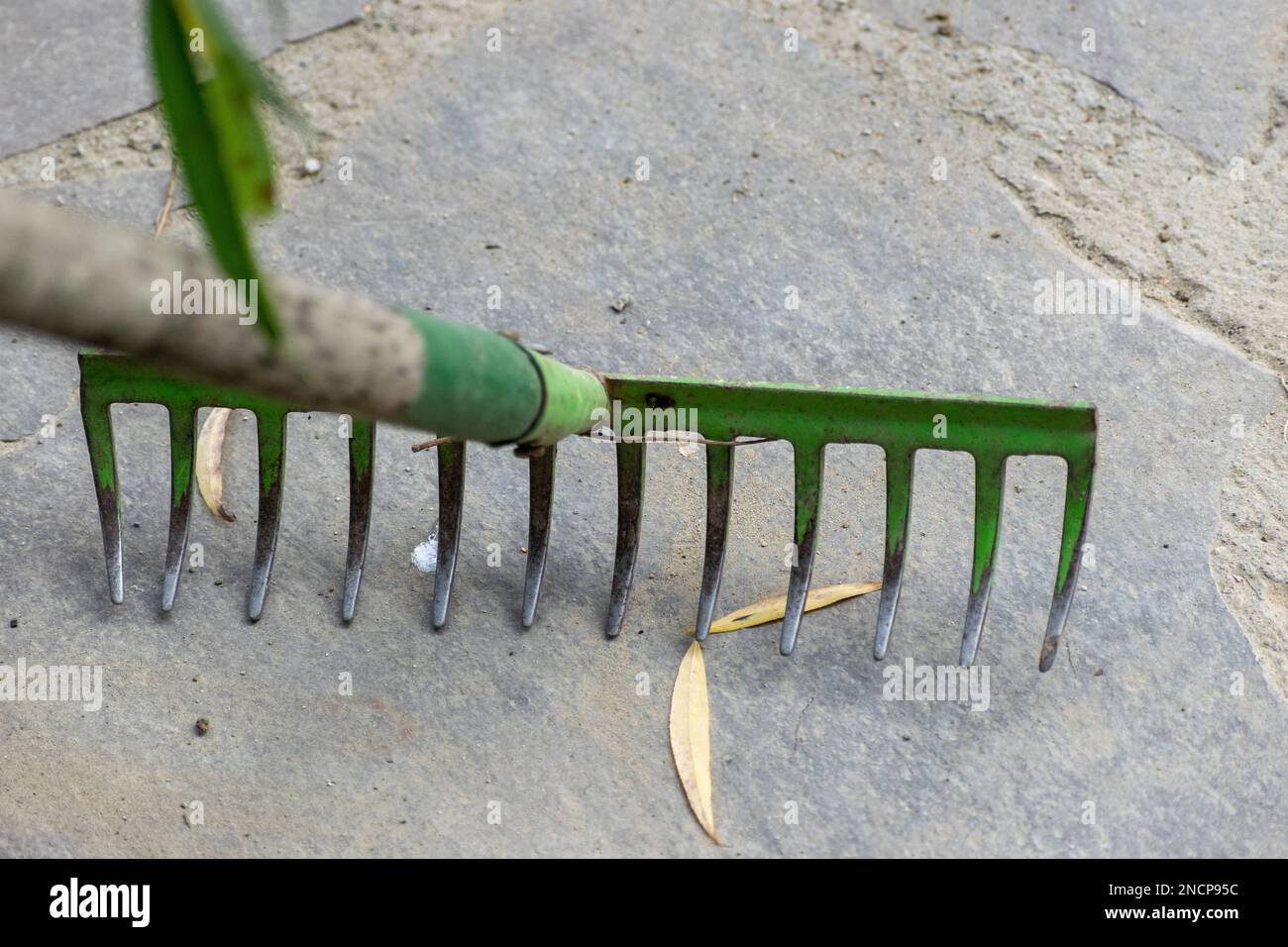 A green rake on the ground Stock Photo - Alamy