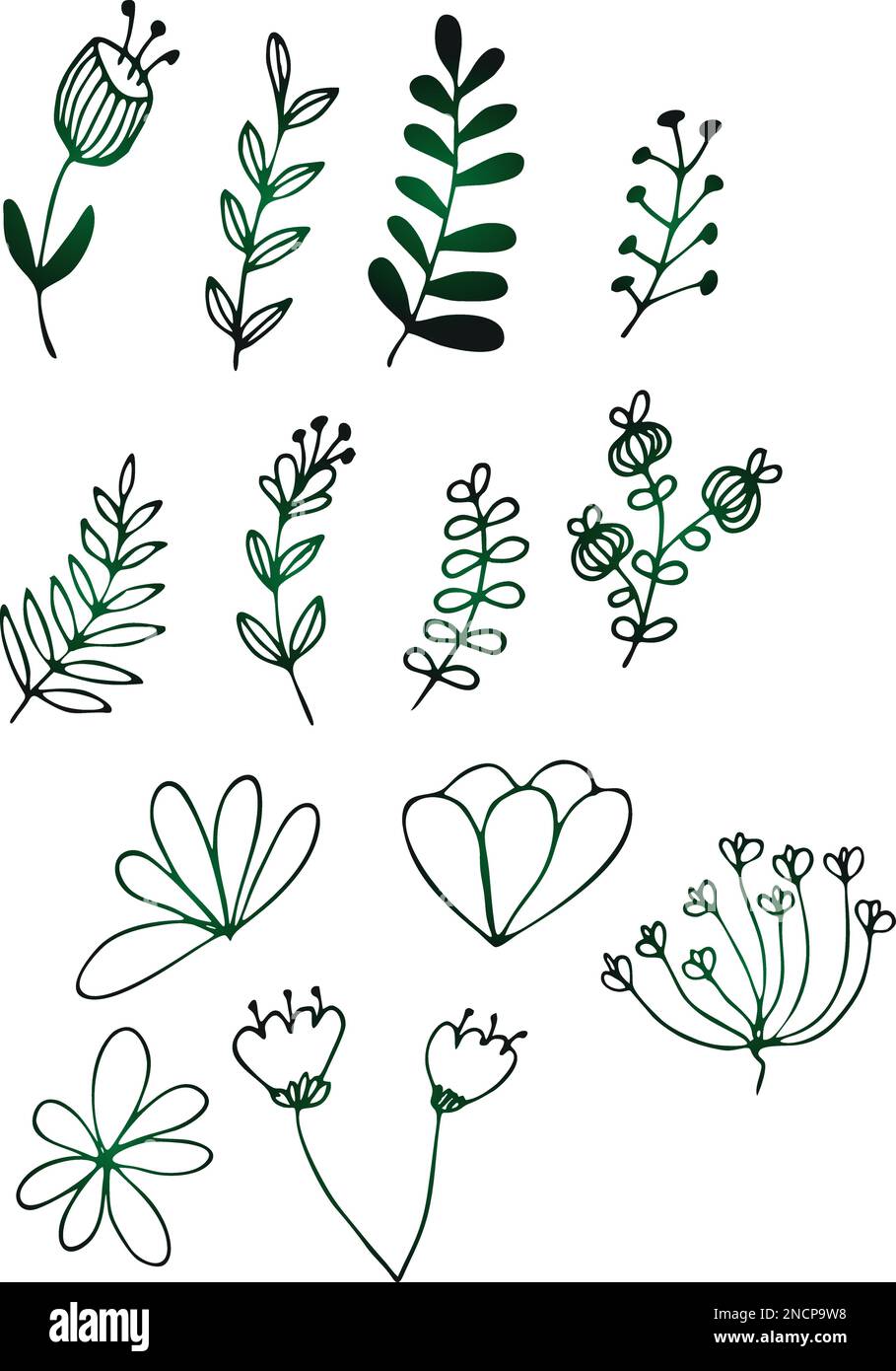 Vector collection of hand drawn plants. Botanical set of sketch flowers ...